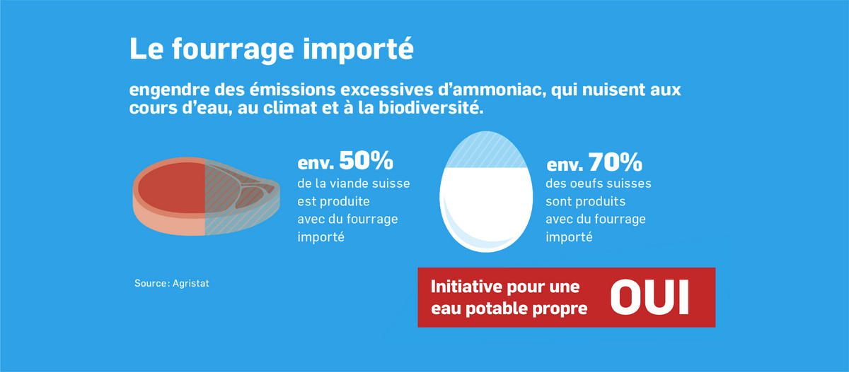 Qu’est-ce qu’un écogeste ? | EcoGeste.ch